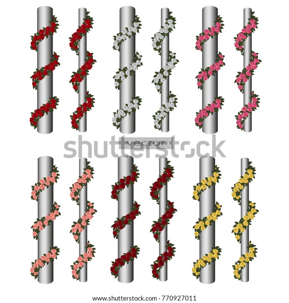 Columns Roses Climbing Roses Roses Around Stock Vector (Royalty Free ...