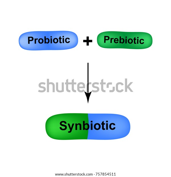 Combination Probiotic Prebiotic Symbiotic Synbiotic Capsules Stock ...