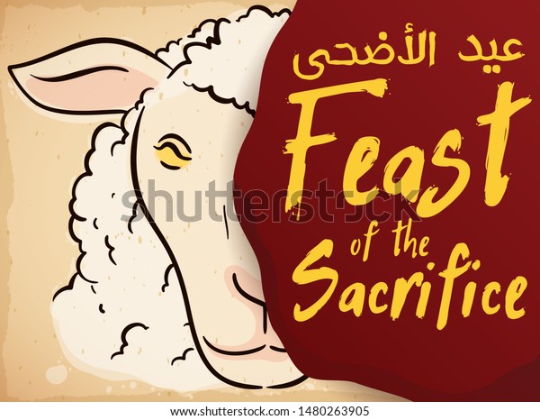 Commemorative Scroll Lamb Hand Drawn Style: vector de stock (libre de ...