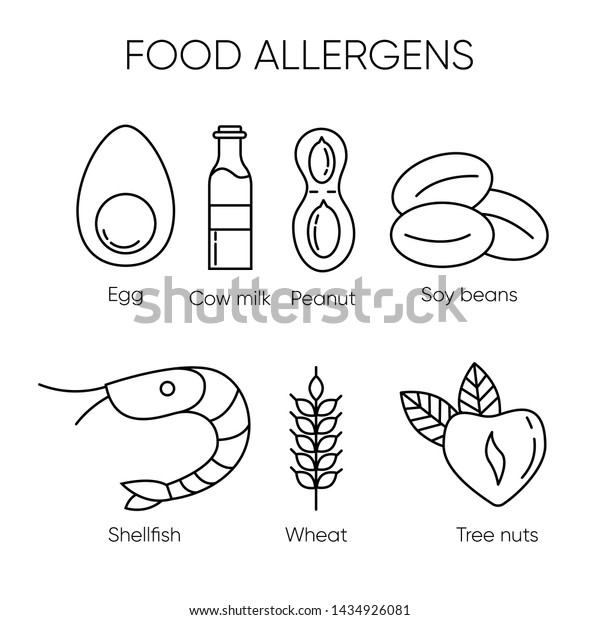 Common Food Allergens Set Vector Linear Stock Vector (Royalty Free ...