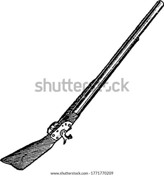 Common Musket Rifle Muzzleloaded Long Gun Stock Vector (Royalty Free ...