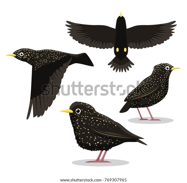 Common Starling Cartoon Vector Illustration Stock Vector (Royalty Free ...