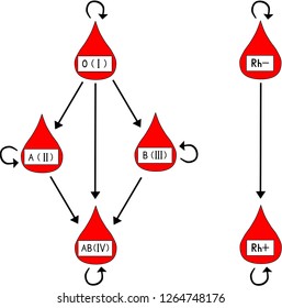 Compatibility Blood Groups Rhesus Factors Transfusion Stock Vector ...