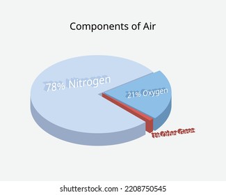 Components Air Oxygen Nitrogen Other Gases Stock Vector (Royalty Free ...