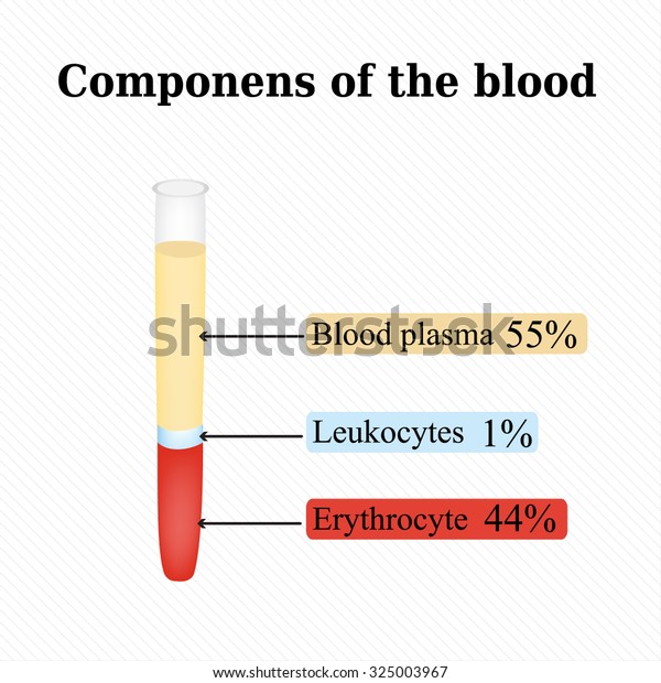 Components Blood Infographics Vector Illustration Stock Vector (Royalty ...