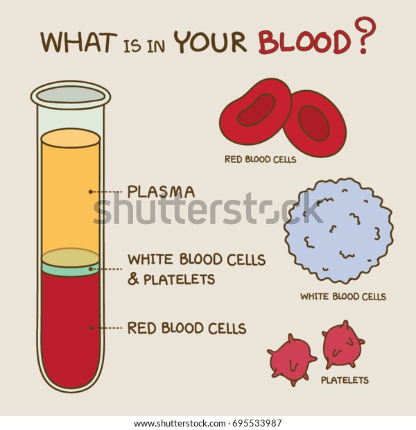 Composition Human Blood Blood Components Cartoon Stock Vector (Royalty ...