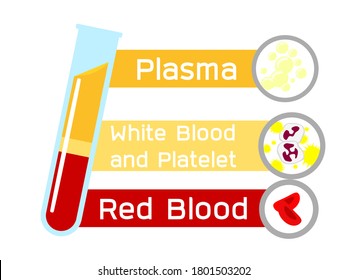 Composition Human Blood Blood Components Red Stock Vector (Royalty Free ...