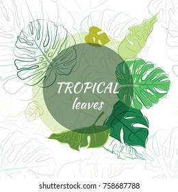 Composition Tropical Leaves Circle Stock Vector (Royalty Free ...