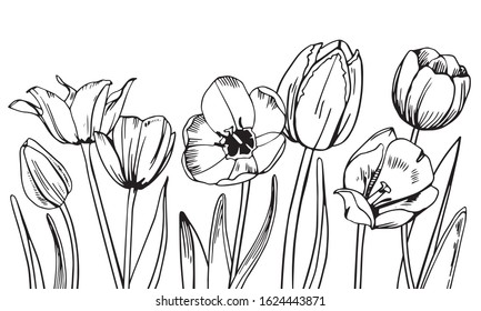701 Tulips on row Stock Vectors, Images & Vector Art | Shutterstock