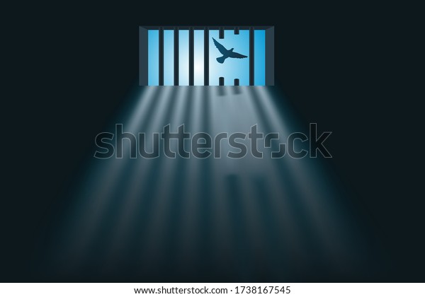 Concept Prison Escape Prisoner Who Escaped Stock Vector (Royalty Free ...