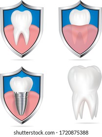 10,954 Shield tooth Images, Stock Photos & Vectors | Shutterstock