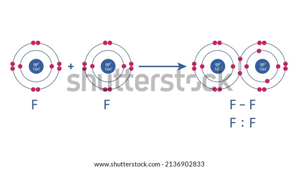2,269 Atom Structure Of Fluorine Images, Stock Photos & Vectors ...