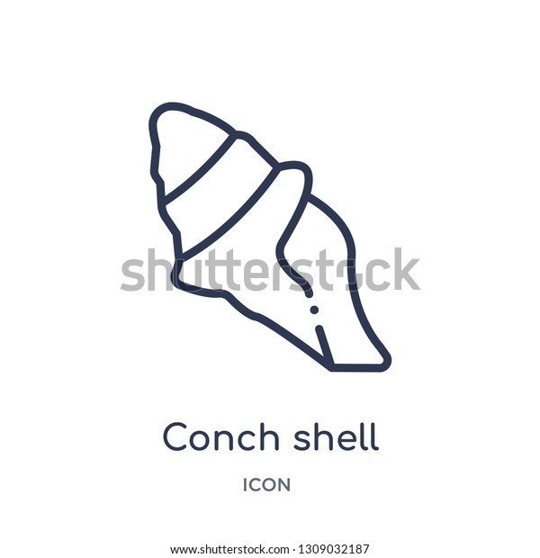 Conch Shell Icon Religion Outline Collection Stock Vector (Royalty Free ...