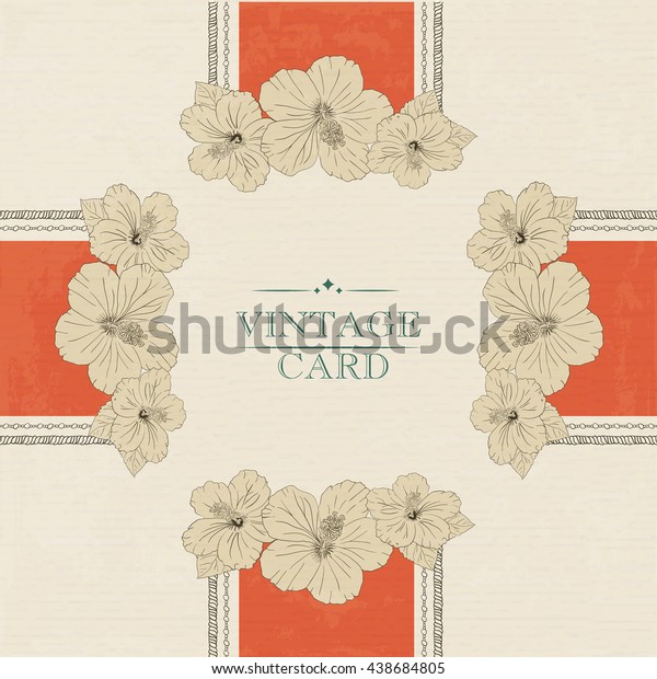 Congratulations Card Design Template Hibiscus Flowers: เวกเตอร์สต็อก ...