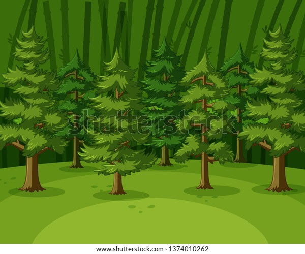 Coniferous Forest Background Illustration Stock Vector (Royalty Free ...