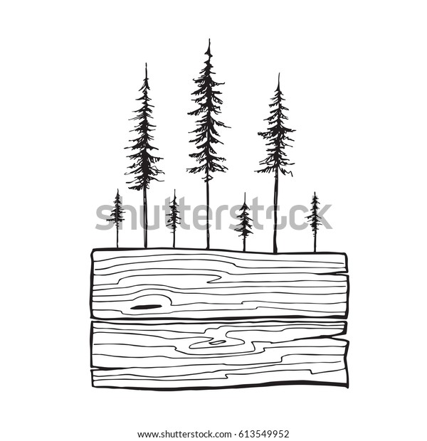 Conifers Sketch Hand Drawing Graphic Forest Stock Vector (Royalty Free ...