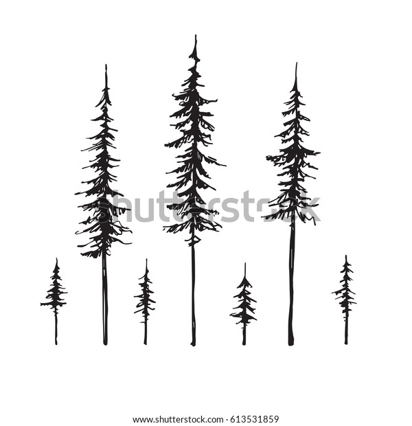 Conifers Sketch Set Hand Drawing Graphic: เวกเตอร์สต็อก (ปลอดค่า ...