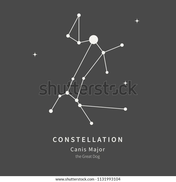 Constellation Canis Major Great Dog Linear Stock Vector (Royalty Free ...