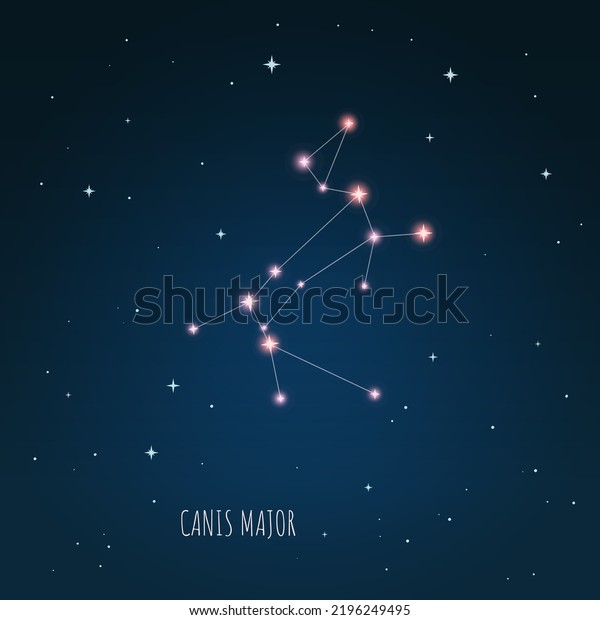 Constellation Canis Major Star Night Sky 库存矢量图（免版税）2196249495 ...