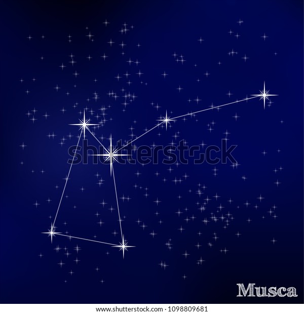 Constellation Musca Starry Sky Stock Vector (Royalty Free) 1098809681 ...