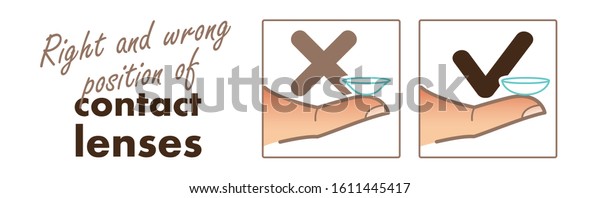 Contact Lenses Right Wrong Position Lenses Stock Vector (Royalty Free ...