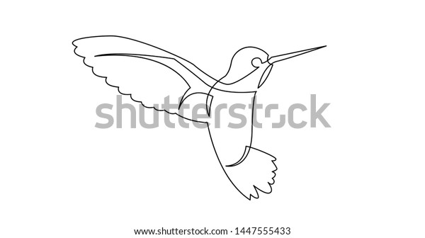 Continuous Line Drawing Beautiful Colibri Birg Stock Vector (Royalty ...