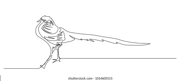 792 Pheasant line drawing Images, Stock Photos & Vectors | Shutterstock