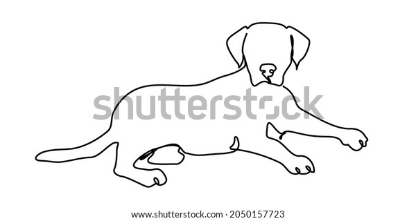 Continuous Line Drawing Cute Dog Stock Vector (Royalty Free) 2050157723 ...
