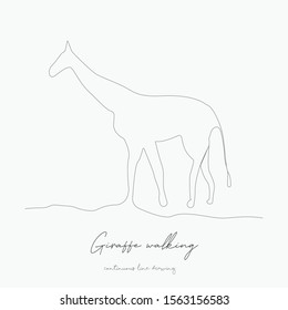 Continuous Line Drawing Giraffe Walking Simple Stock Vector (Royalty ...