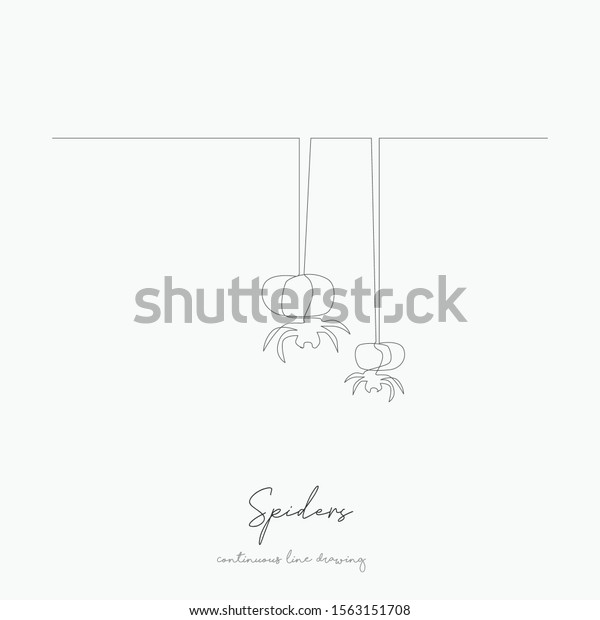Continuous Line Drawing Spiders Simple Vector Stock-vektor (royaltyfri ...