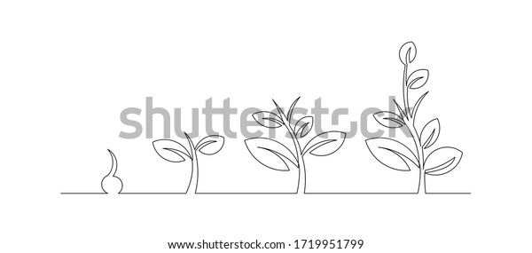 Continuous Line Drawing Step Tree Growth Stock Vector (Royalty Free ...