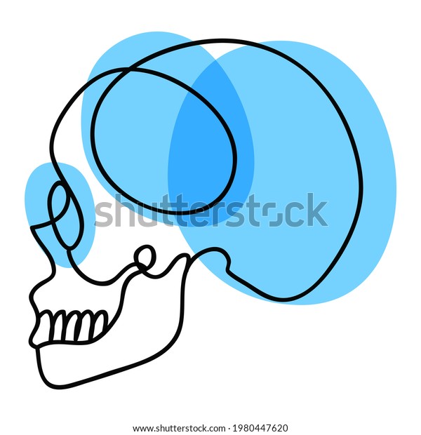 Continuous Line Realistic Drawing Human Skull Stock Vector (Royalty ...