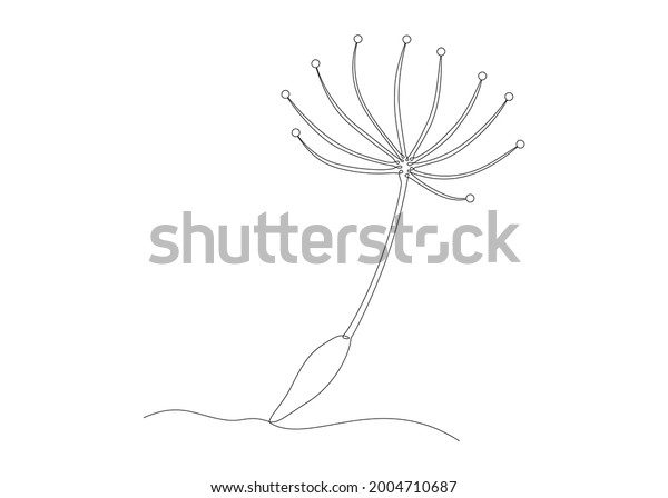 Continuous One Line Drawing Dandelion Minimalism Stock Vector (Royalty ...