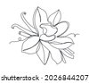 30+ Thousand Peony Line Drawing Royalty-Free Images, Stock Photos ...