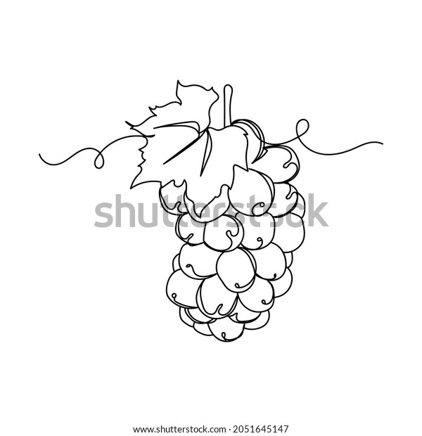 Continuous One Line Drawing Grape Fruit Stock Vector (Royalty Free ...