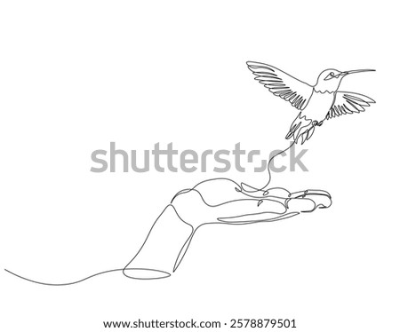 Hummingbird Drawing Outline | Free download on ClipArtMag