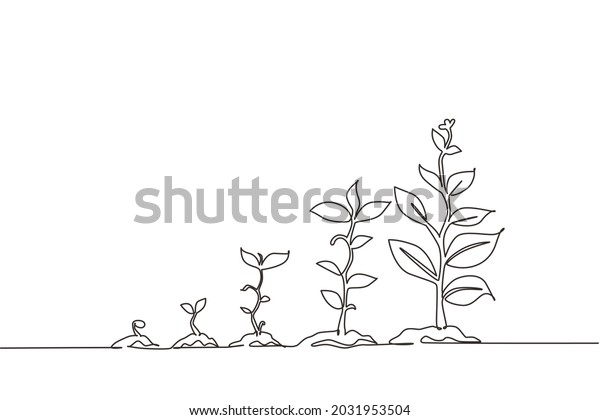 221,223 Single Seed Images, Stock Photos & Vectors | Shutterstock