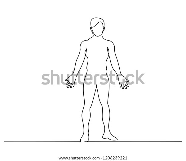Continuous One Line Drawing Man Standing In Anatomical Position