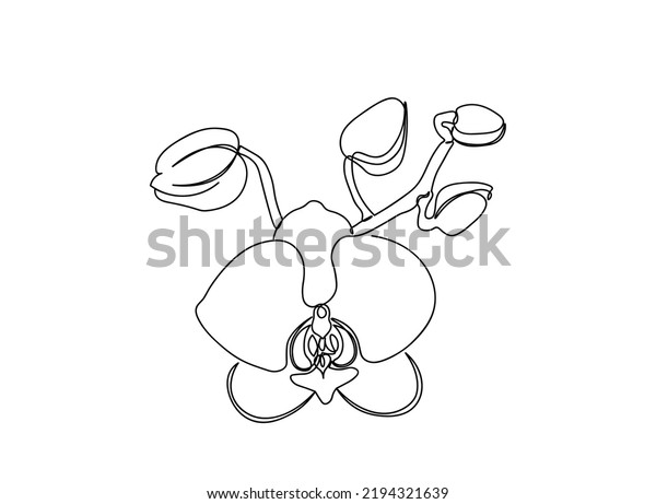 Continuous One Line Drawing Orchid Flower Stock Vector (Royalty Free ...