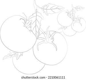 1,279 Trace Tomato Images, Stock Photos & Vectors | Shutterstock
