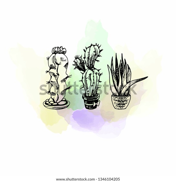 Contour Cactus On White Background Watercolor Stock Vector (Royalty ...