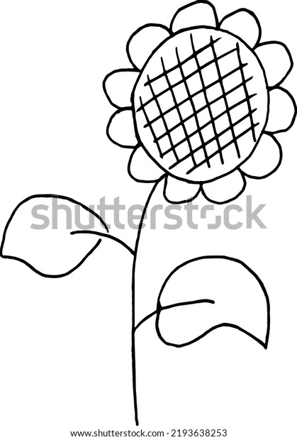 Contour Doodle Sunflower Vector Illustration Stock Vector (Royalty Free ...