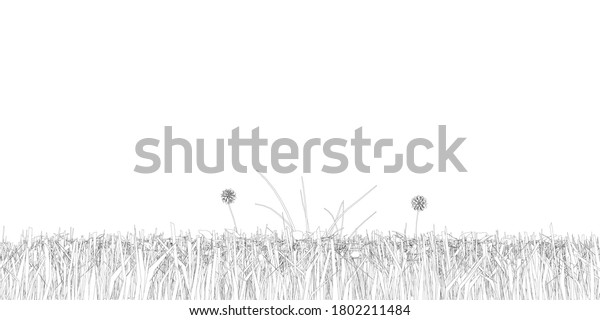 Contour Grass Isolated On White Background Stock Vector (Royalty Free ...