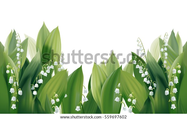 Convallaria Majalis Lilly Valley Hand Drawn Stock Vector (Royalty Free ...
