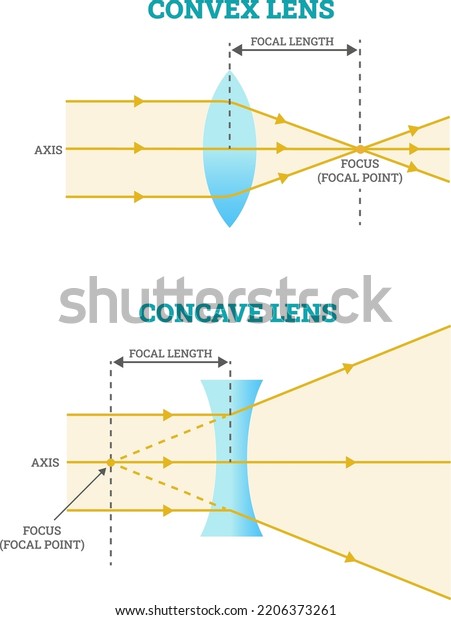 Convex Concave Lens Vector Illustration Stock Vector (Royalty Free ...