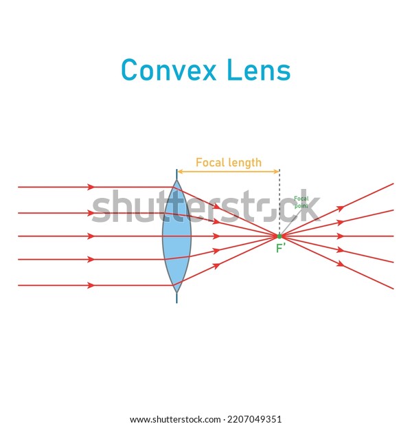 Convex Lens Schematic Diagram Optics Physics Stock Vector (Royalty Free ...