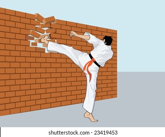 196 Karate Breaking Brick Images, Stock Photos & Vectors | Shutterstock