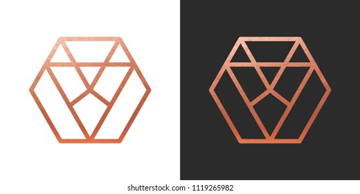 Copper Geometric Hexagon Logo Shape Vector Stock Vector (Royalty Free ...