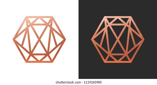Copper Geometric Hexagon Logo Shape Vector Stock Vector (Royalty Free ...