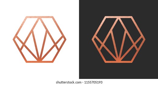 Copper Geometric Hexagon Logo Shape Vector Stock Vector (Royalty Free ...